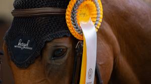 Sport Horse Sales | Holger Hetzel